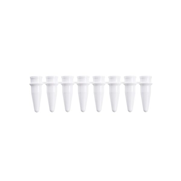 （A）0.2 mL 8-Strip PCR Tubes &（White）- Flat Caps – Galactics Laboratory ...